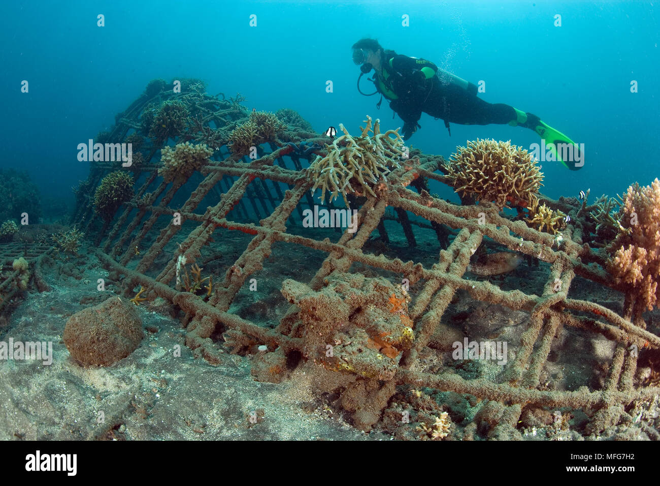 Scuba diver visiting the structure of bio-rock, method of enhancing the ...