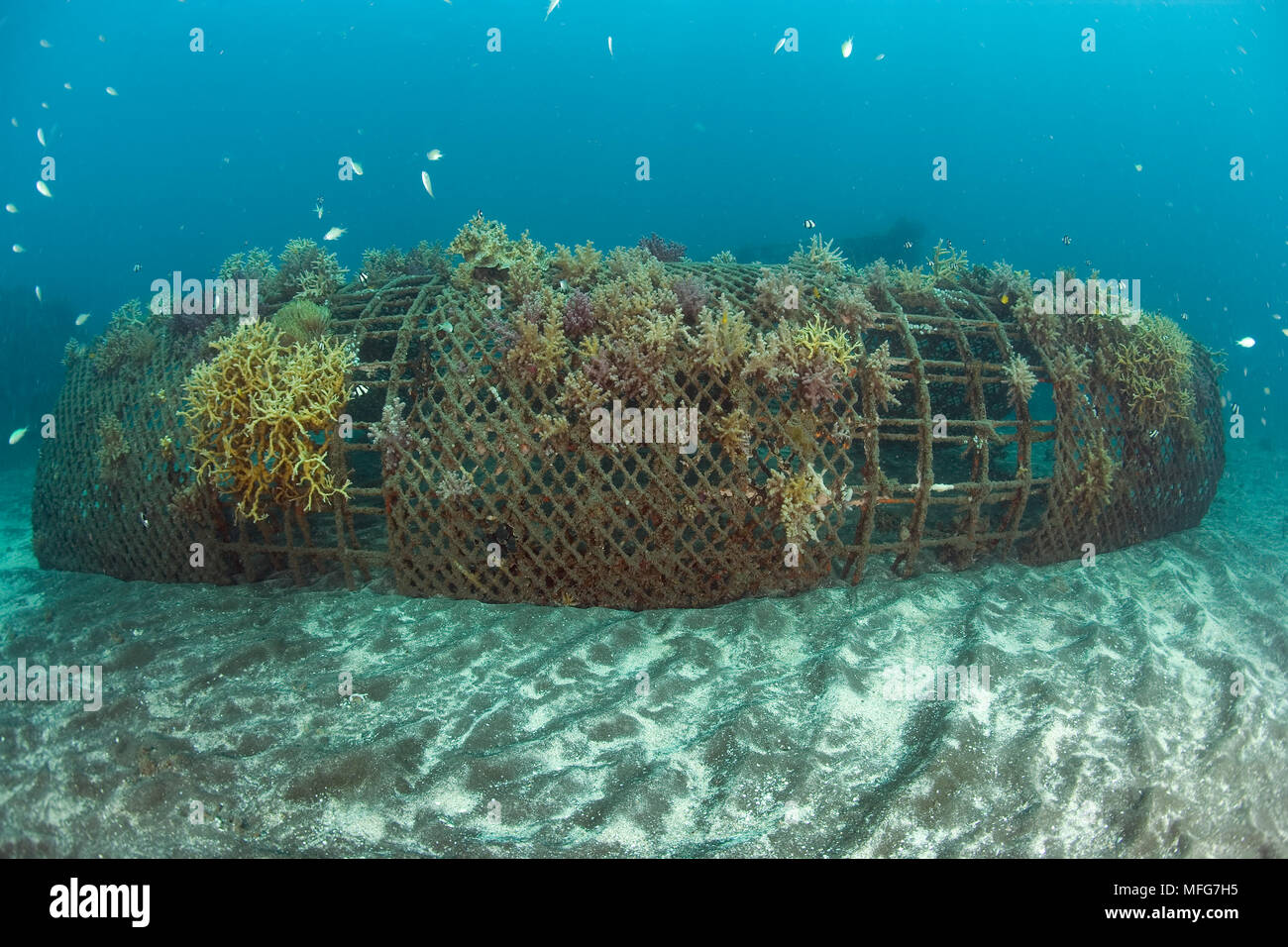 Structure of bio-rock, method of enhancing the growth of corals and ...