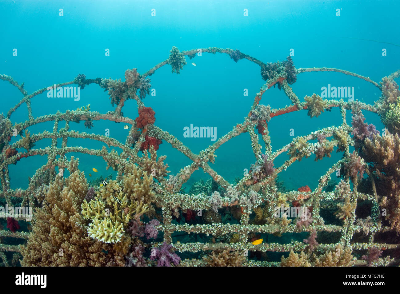 Structure of bio-rock, method of enhancing the growth of corals and ...