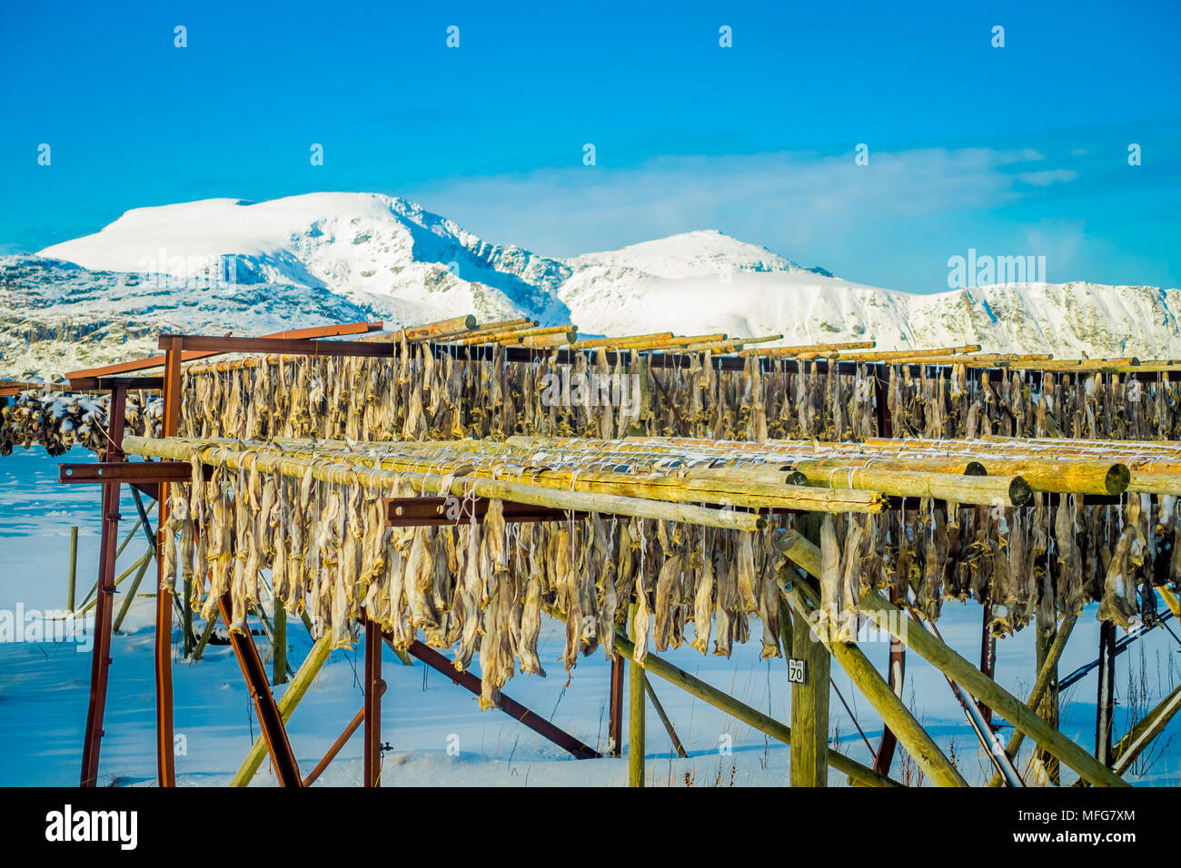 Lofoten, Norway - April, 09, 2018: Outdoor view traditional way of ...