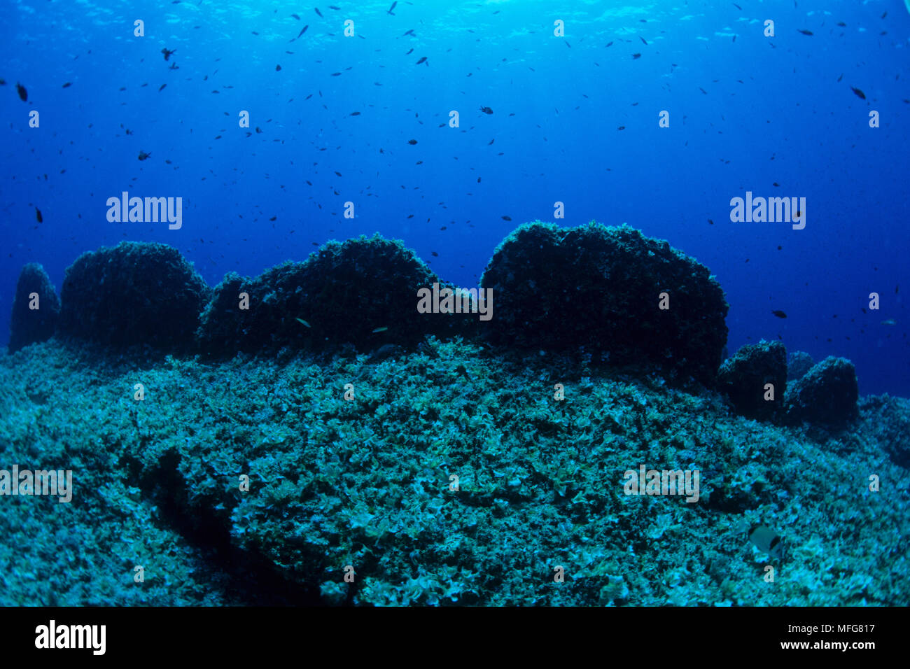 unusual stones formation, Ist Island, Croatia, Adriatic Sea ...
