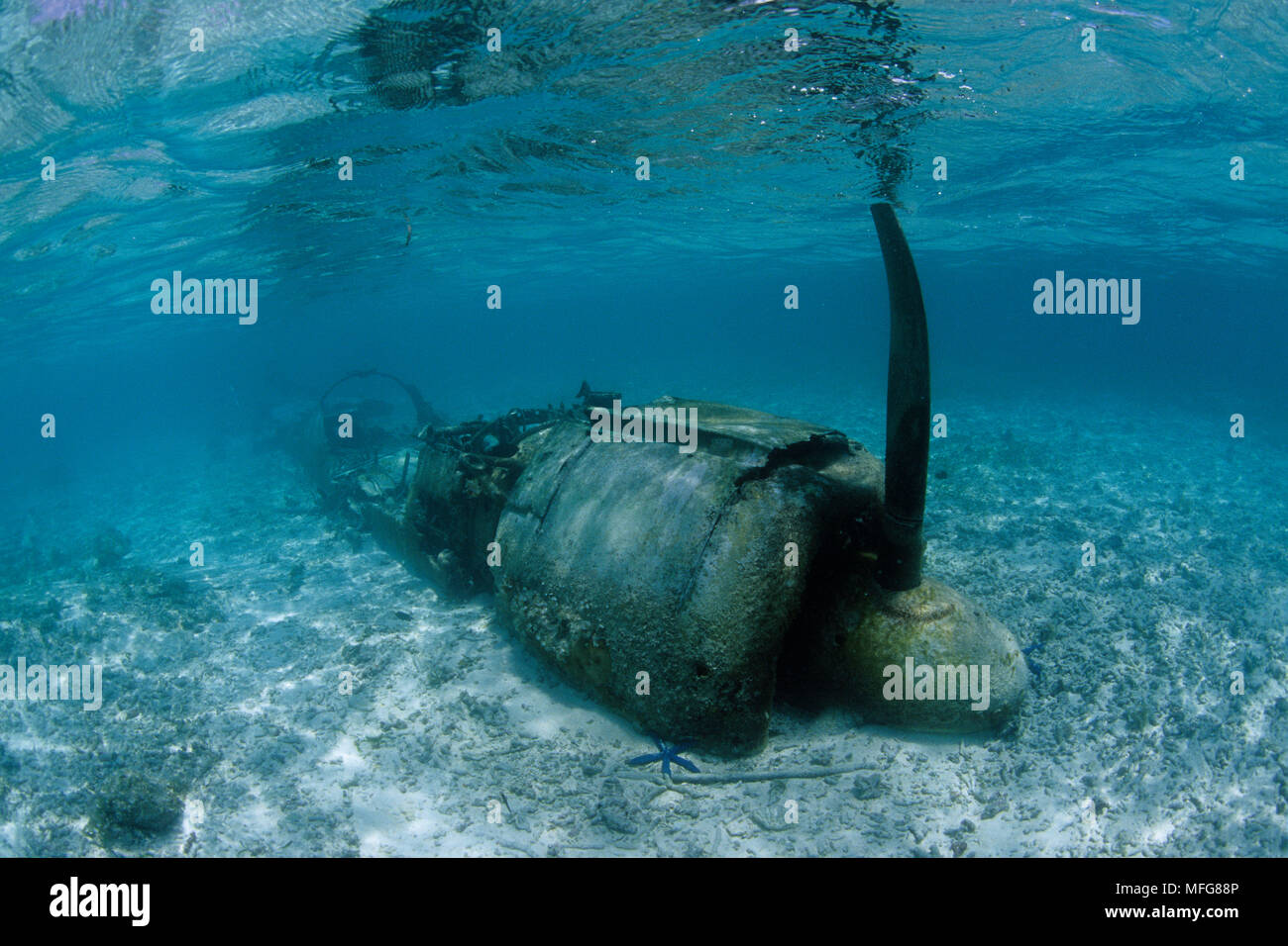 Zero Fighter airplane wreck, 2 meters depth in the lagoon, Palau (Belau ...