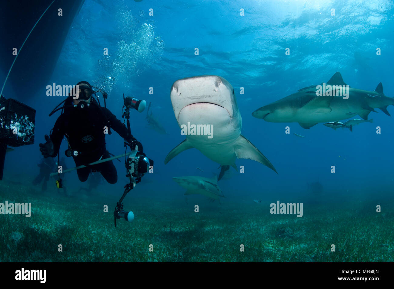 Jim abernethy hi-res stock photography and images - Alamy
