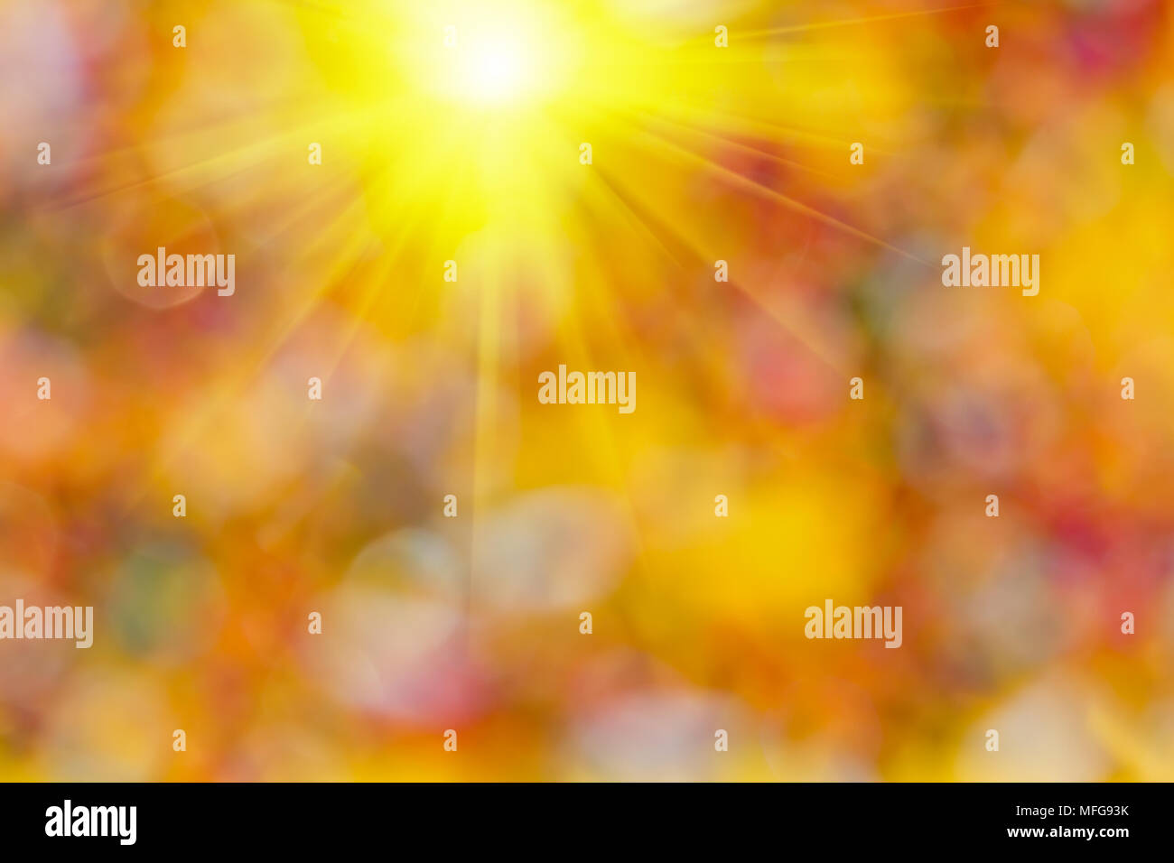 Abstract natural blurred background. Element of design Stock Photo - Alamy