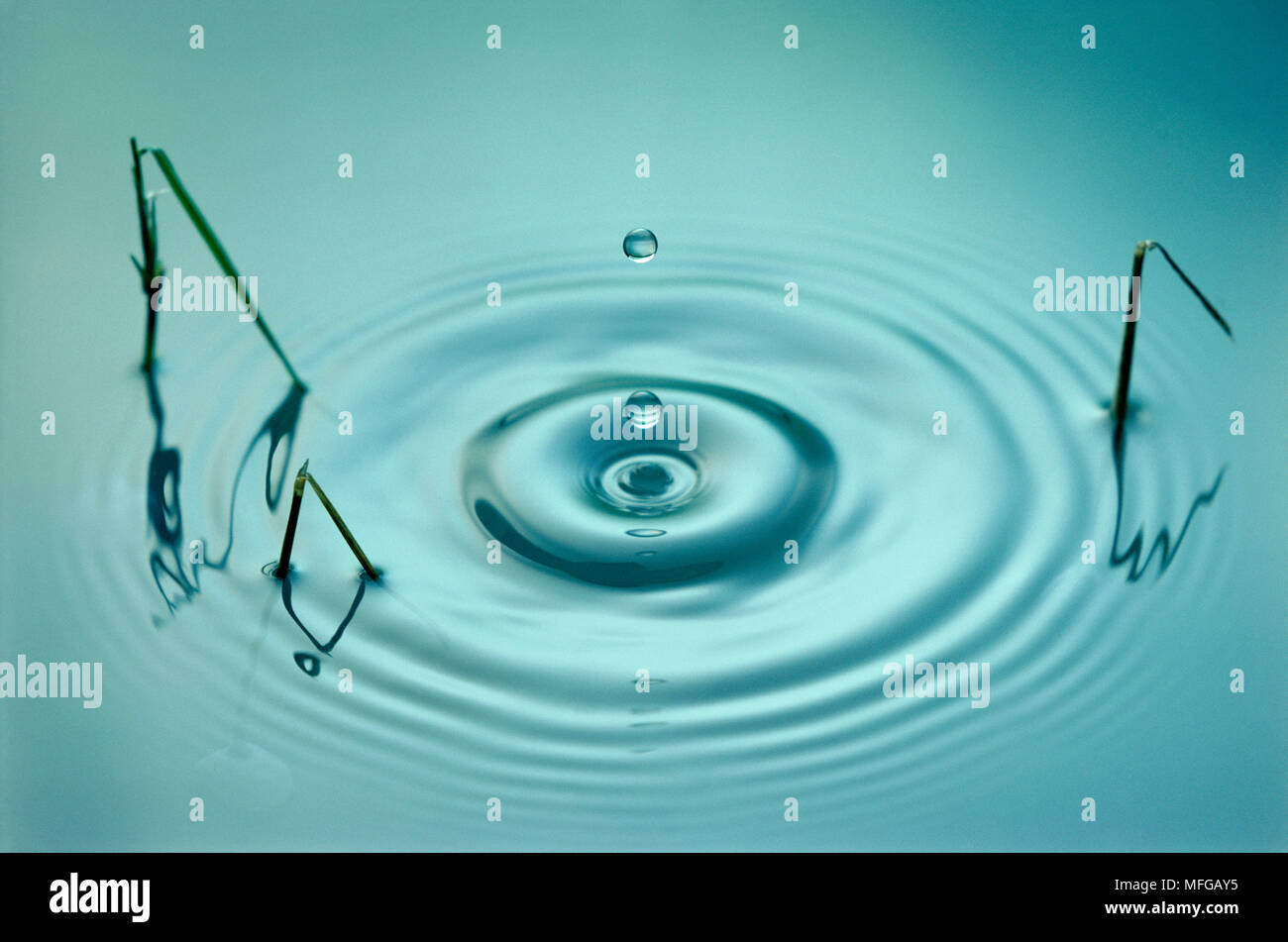 RAINDROP & RIPPLES Ripples formed after entry of raindrop into puddle ...