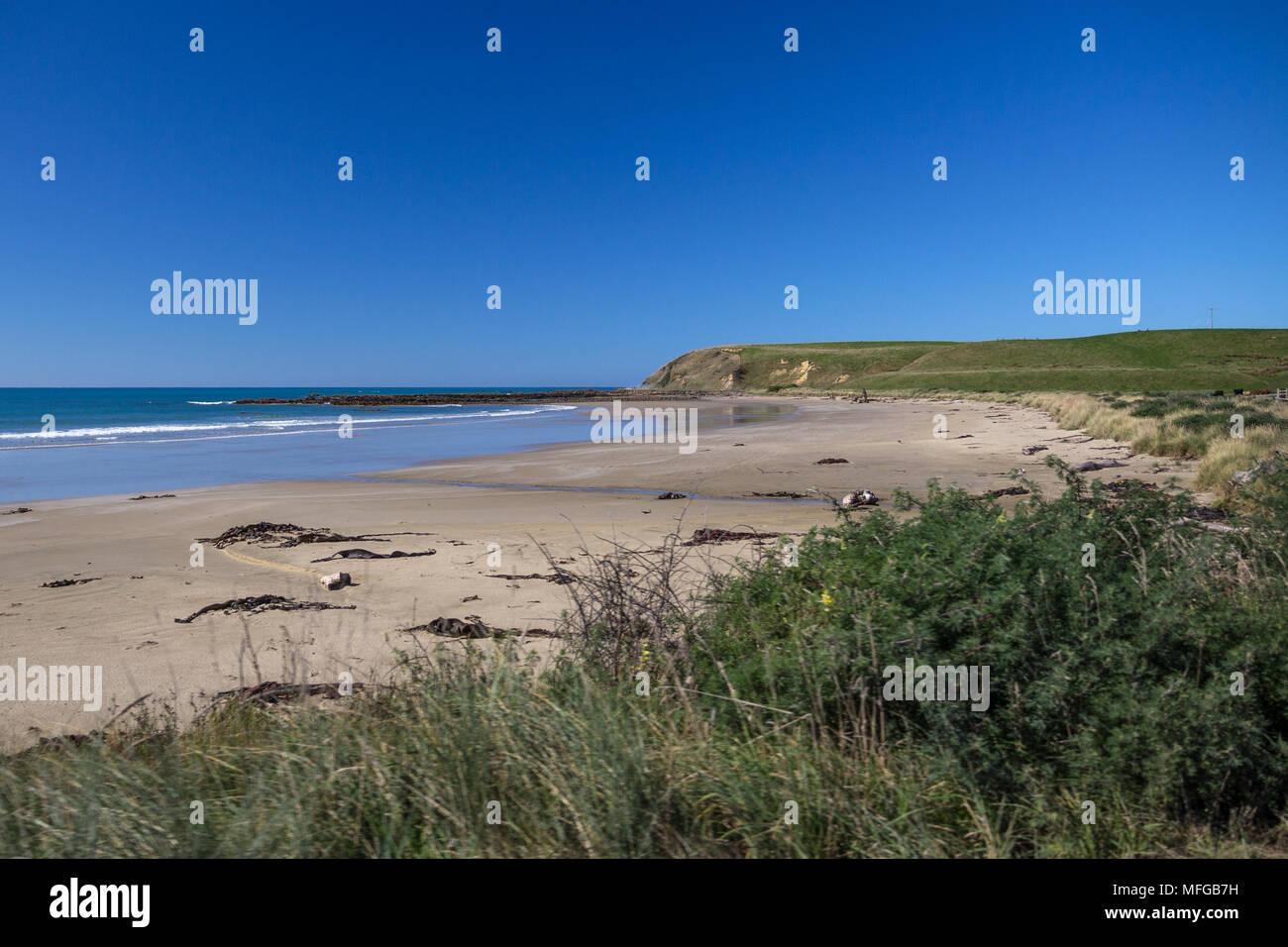 Broad stretch of pristine golden sandy beach along Catlins Coast of New ...