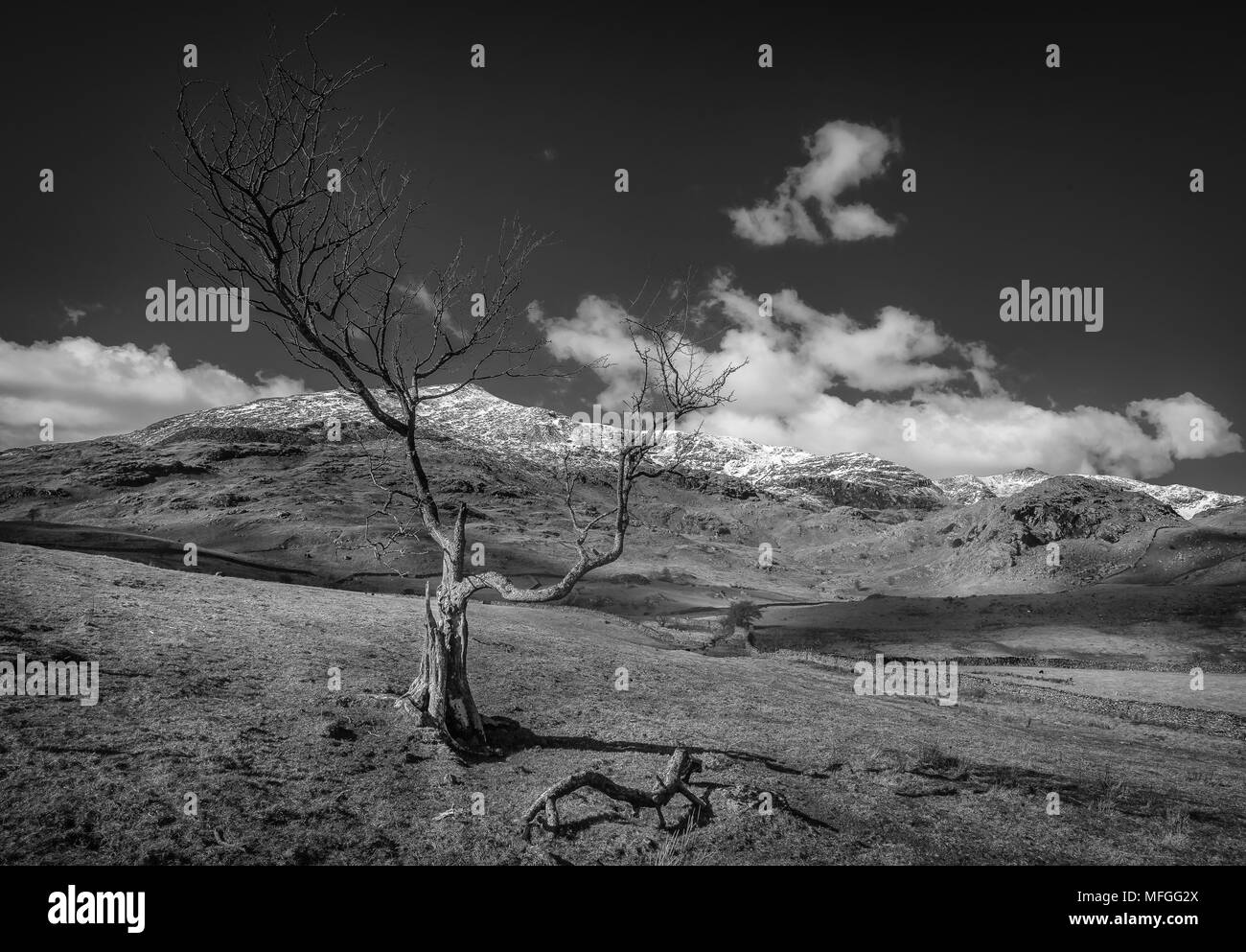 Bluebird coniston water Black and White Stock Photos & Images - Alamy