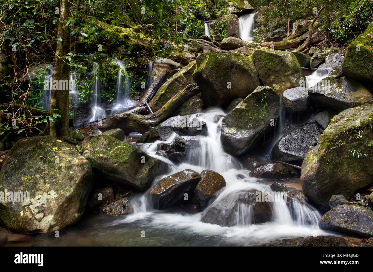 Summit Falls, Washpool National Park, New South Wales, Australia Stock ...
