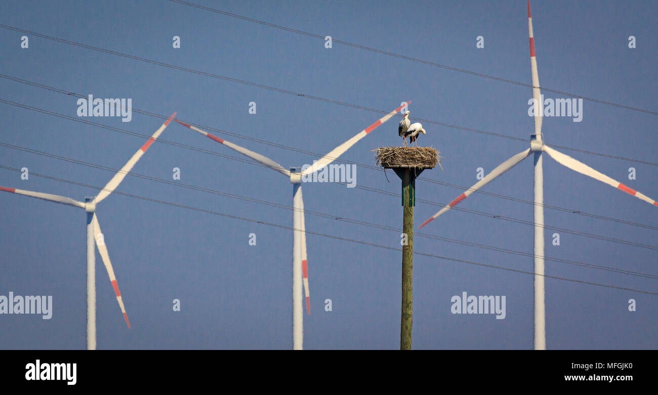 Fam storks hi-res stock photography and images - Alamy