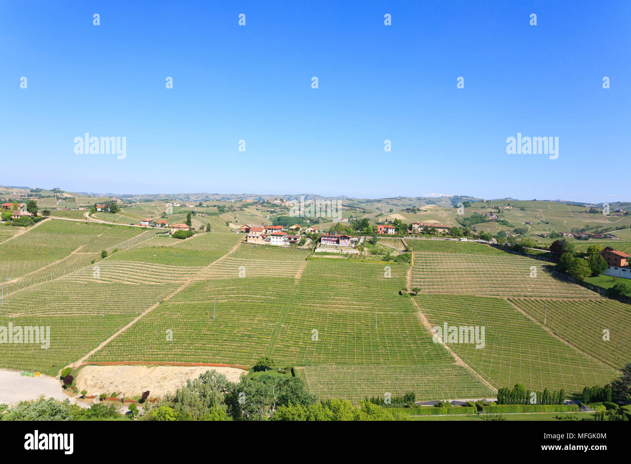 Beautiful Italian landscape. Vineyards from Langhe region,Italy ...