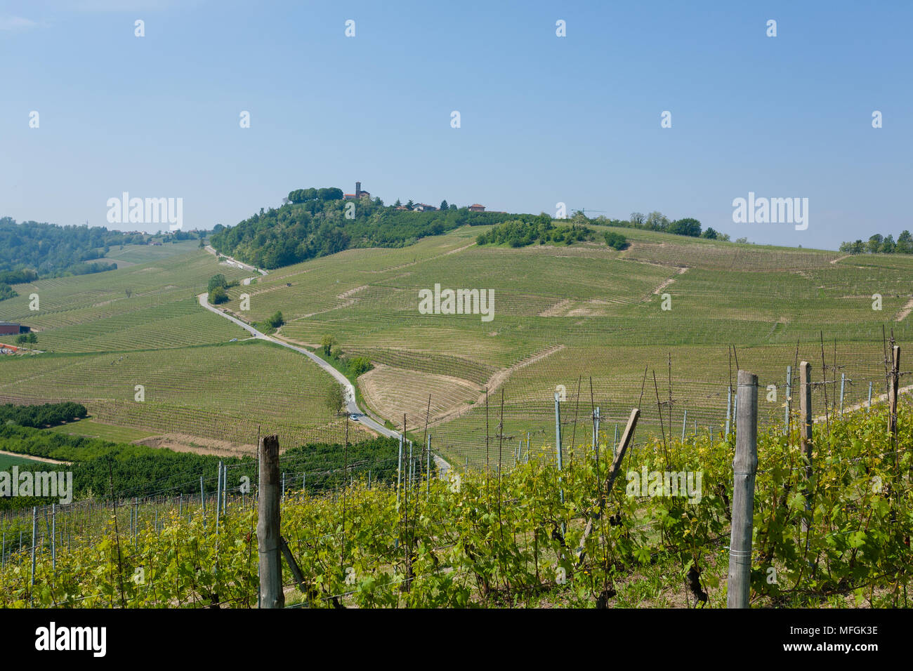 Beautiful Italian landscape. Vineyards from Langhe region,Italy ...