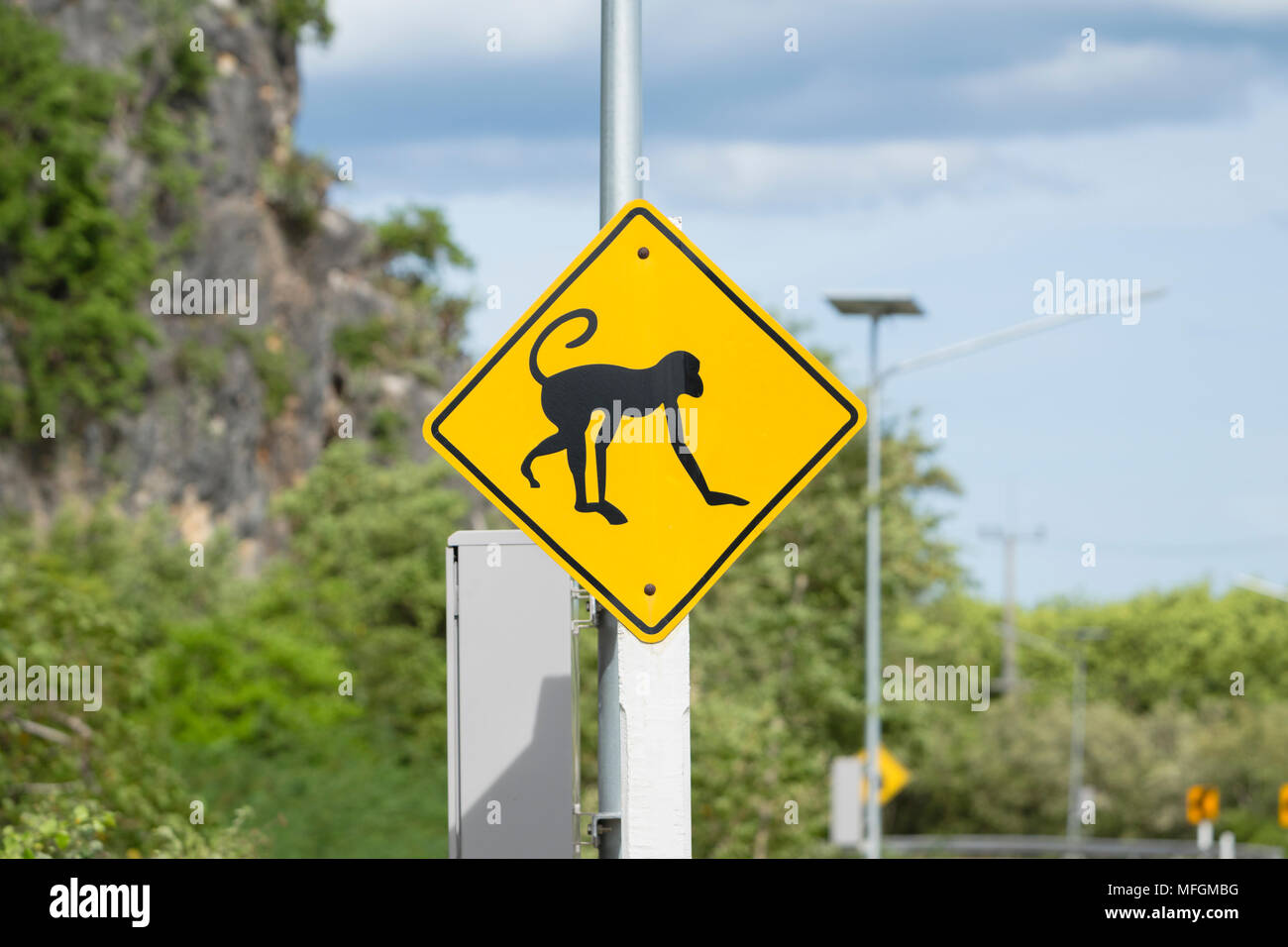 Monkey zone sign warning sign, Thailand Stock Photo - Alamy