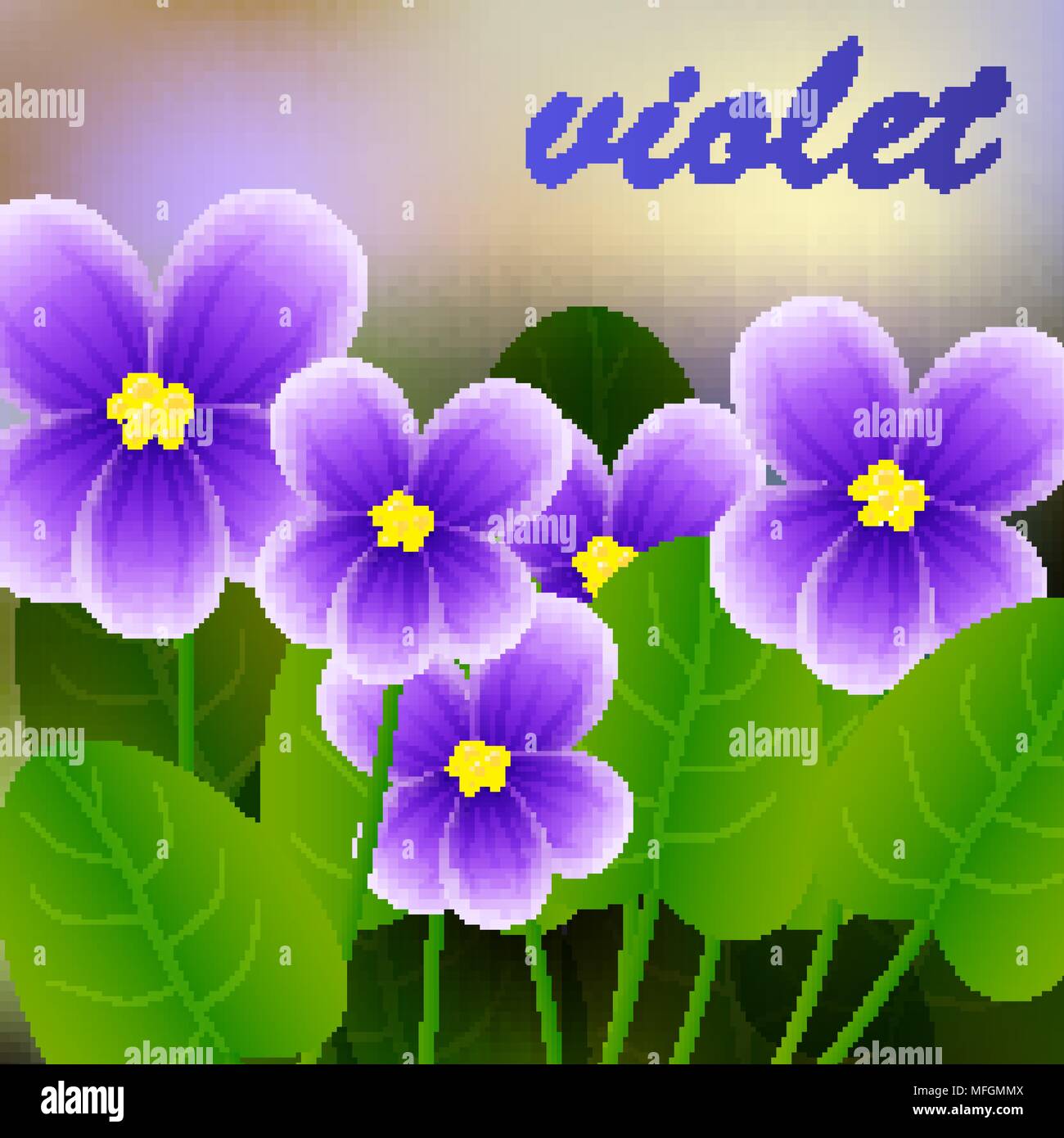 Spring background with blossom brunch of violet flowers. Vector ...