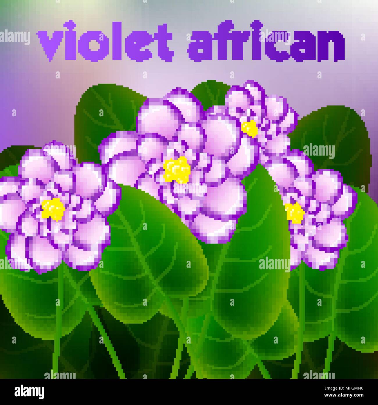 Cartoon african violet flower hi-res stock photography and images - Alamy