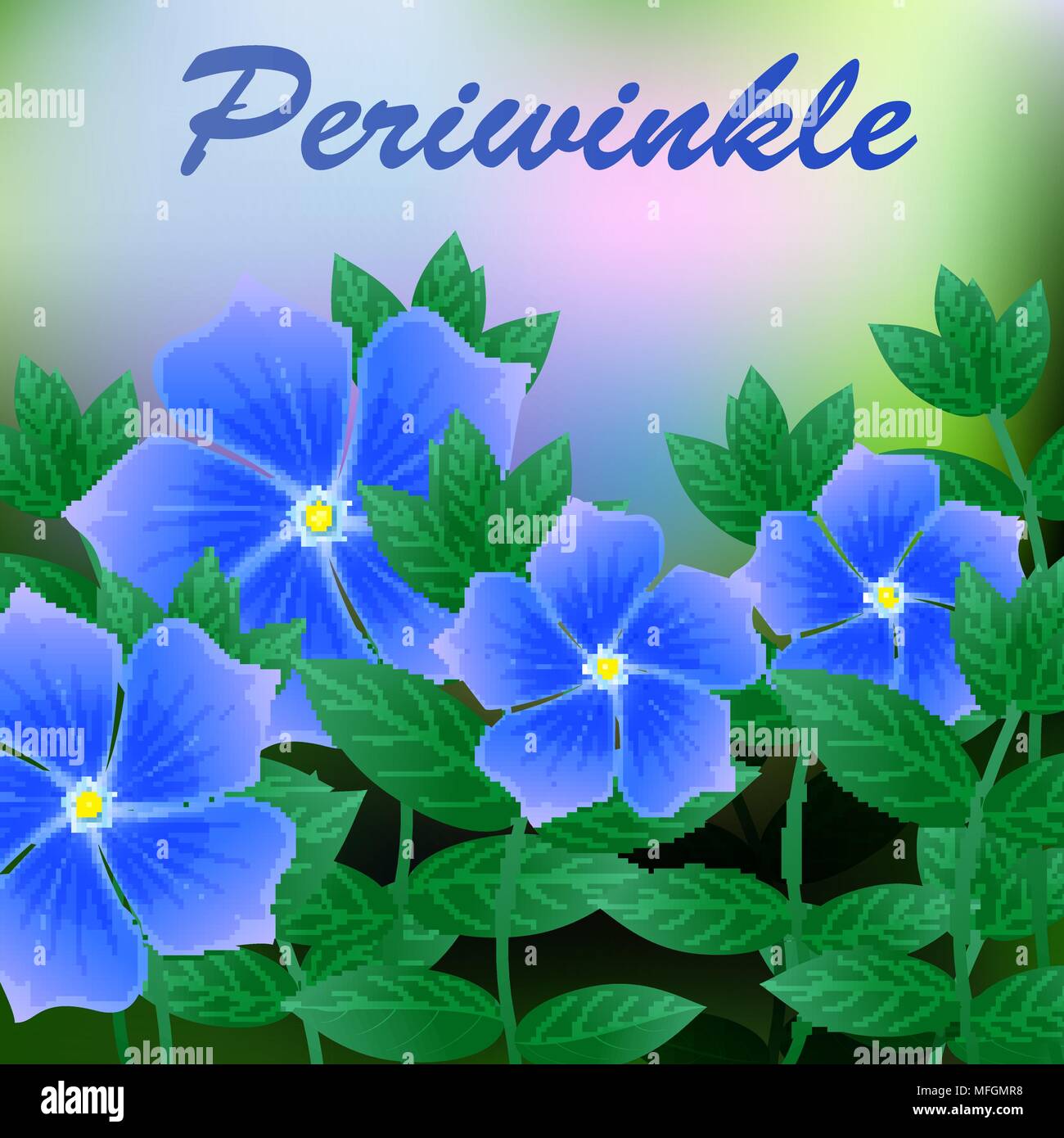 Periwinkle spring flower on blue background with place for text. Vector ...
