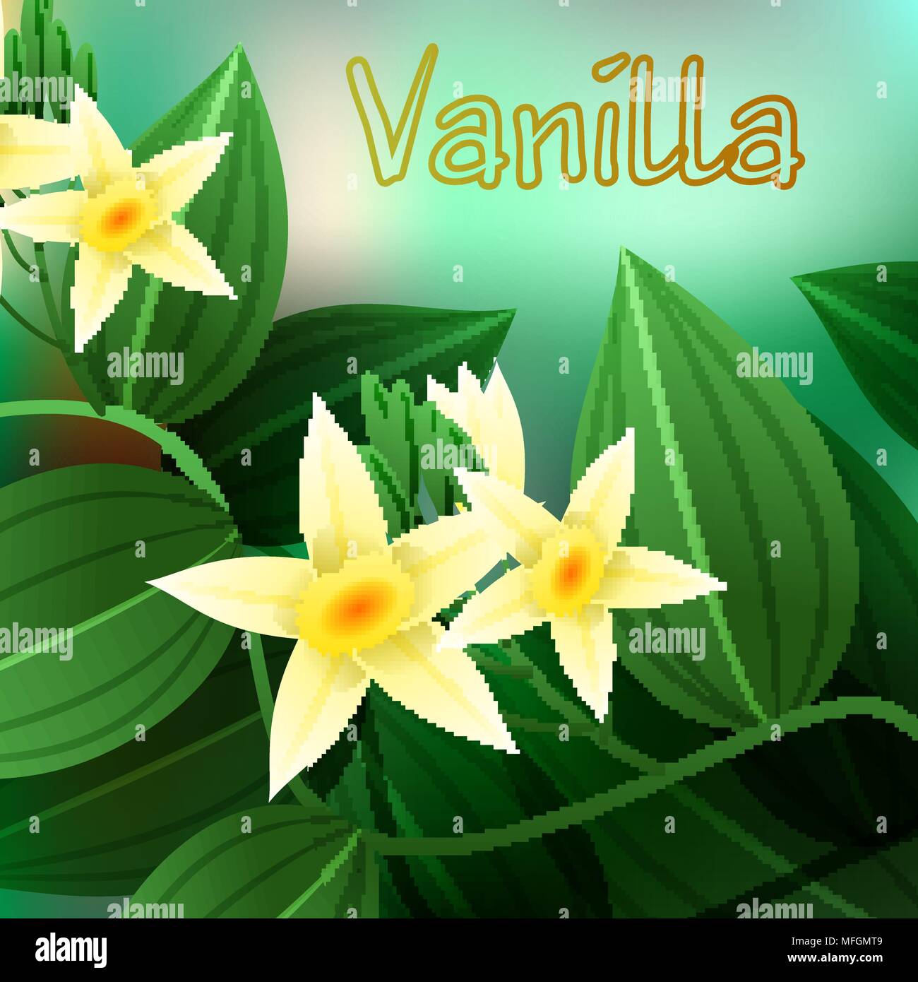 Vanilla Vector Free Download
