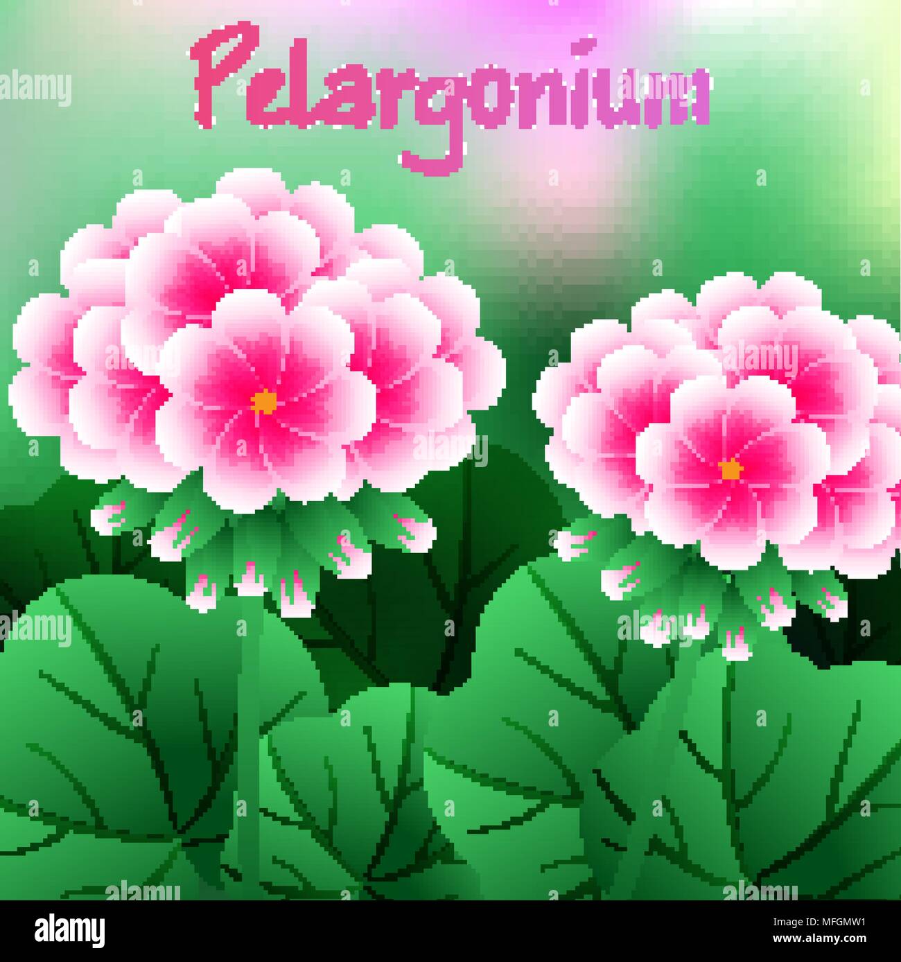 Beautiful Flower, Illustration Bunch of Beautifull Red Geranium Flowers ...