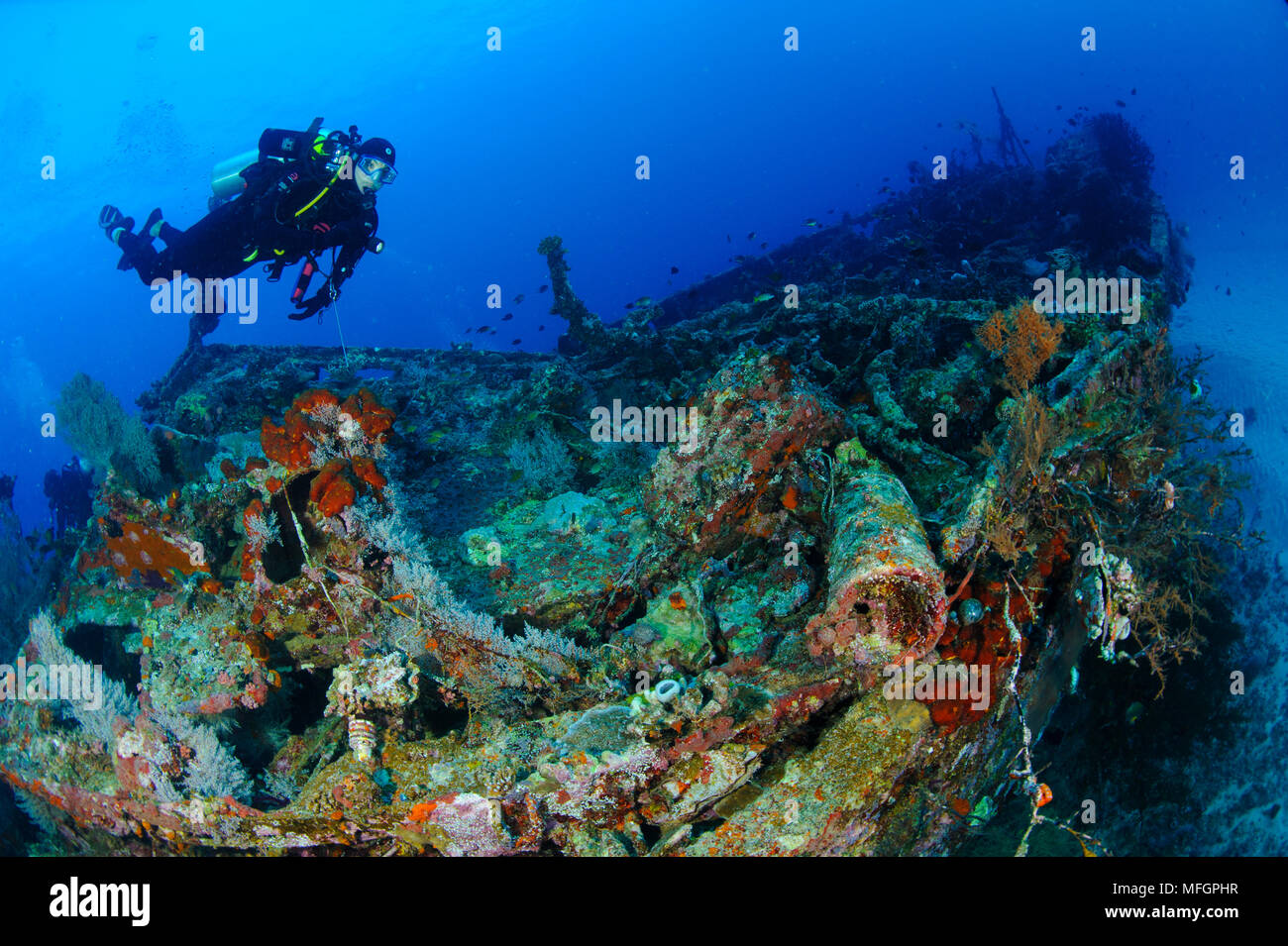 A diver hangs on to a piece of stern wreckage on the cross wreck, a ...