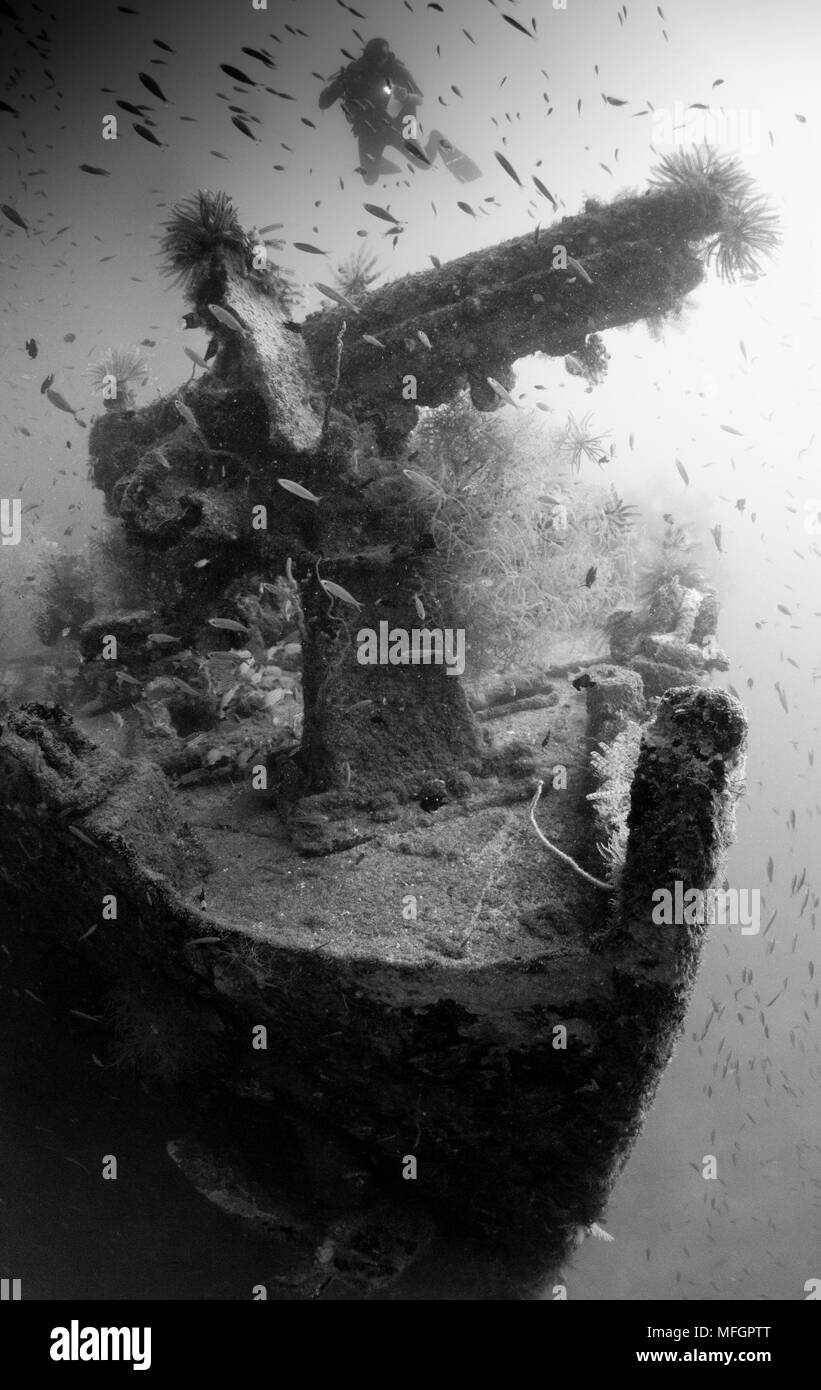 Diver exloring the forward gun on the Japanese Maru 1 wreck, Solomon ...
