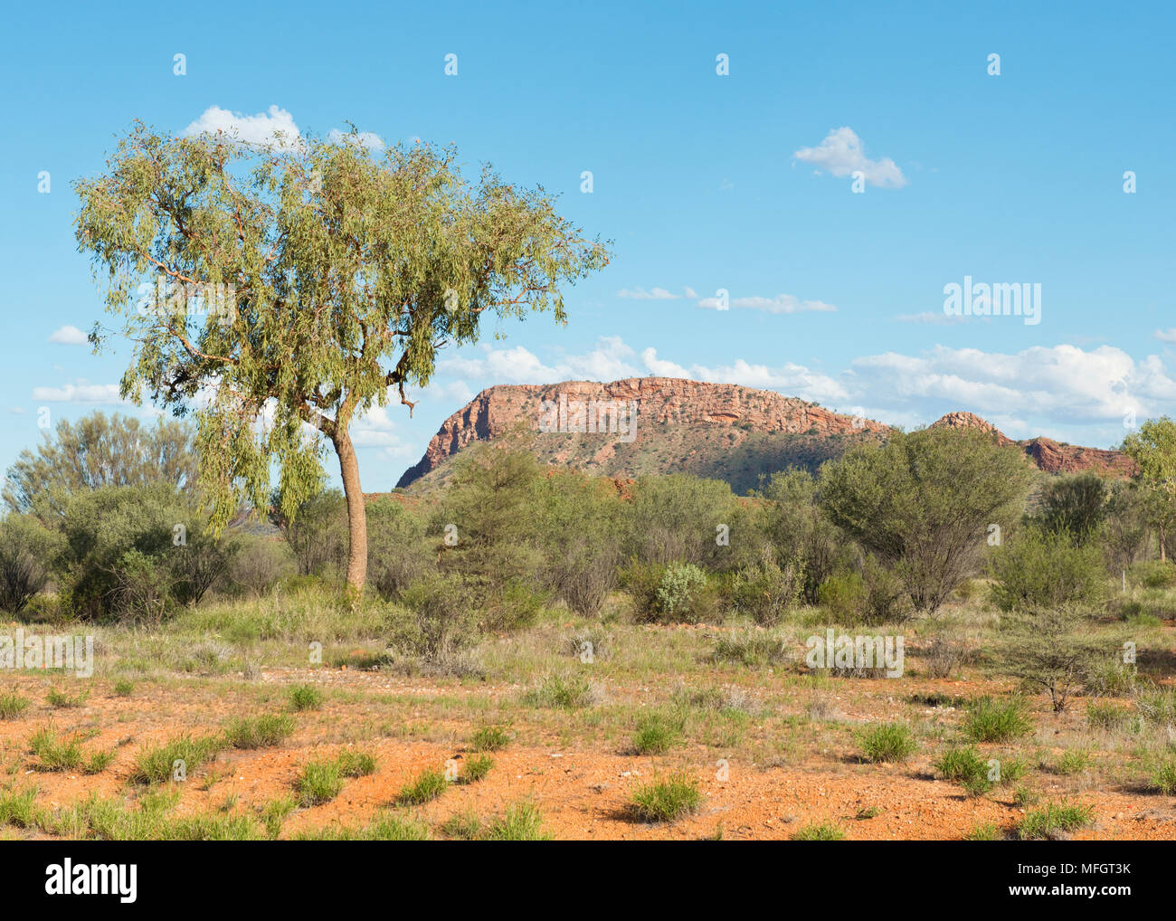 West macdonnell national park hi-res stock photography and images - Alamy