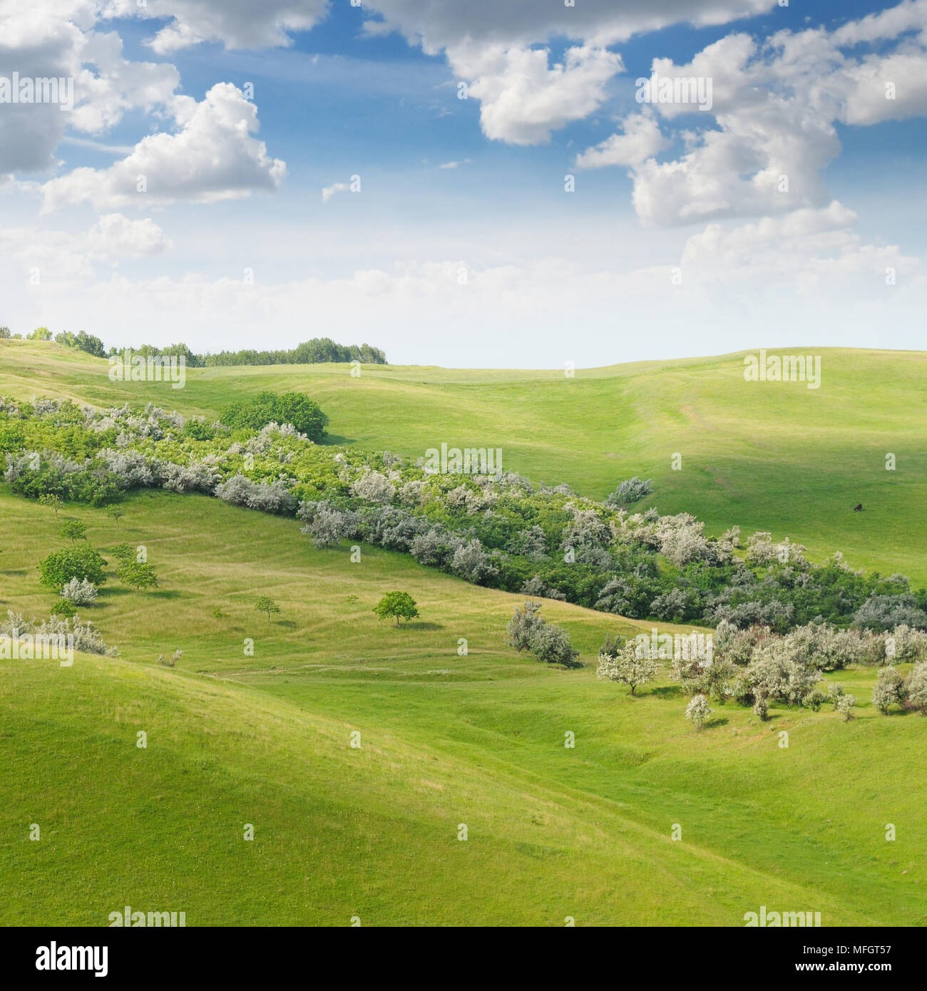 landscape with hilly field and blue sky Stock Photo - Alamy