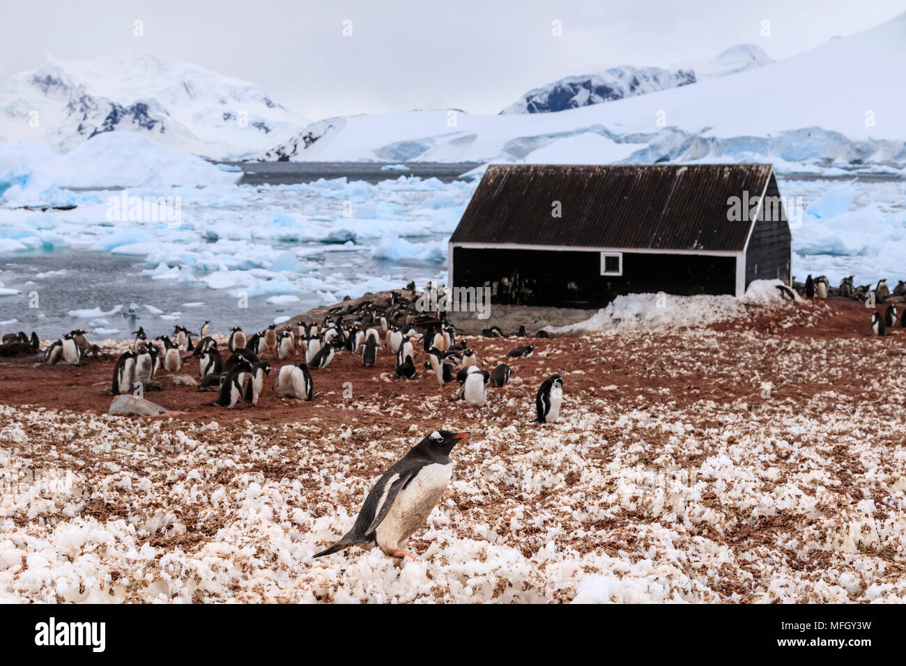 Guano point hi-res stock photography and images - Alamy