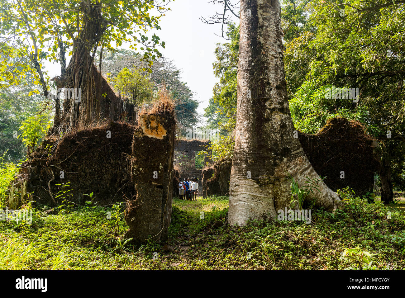 Old ruins of the former slave colony on Bunce island, Sierra Leone ...