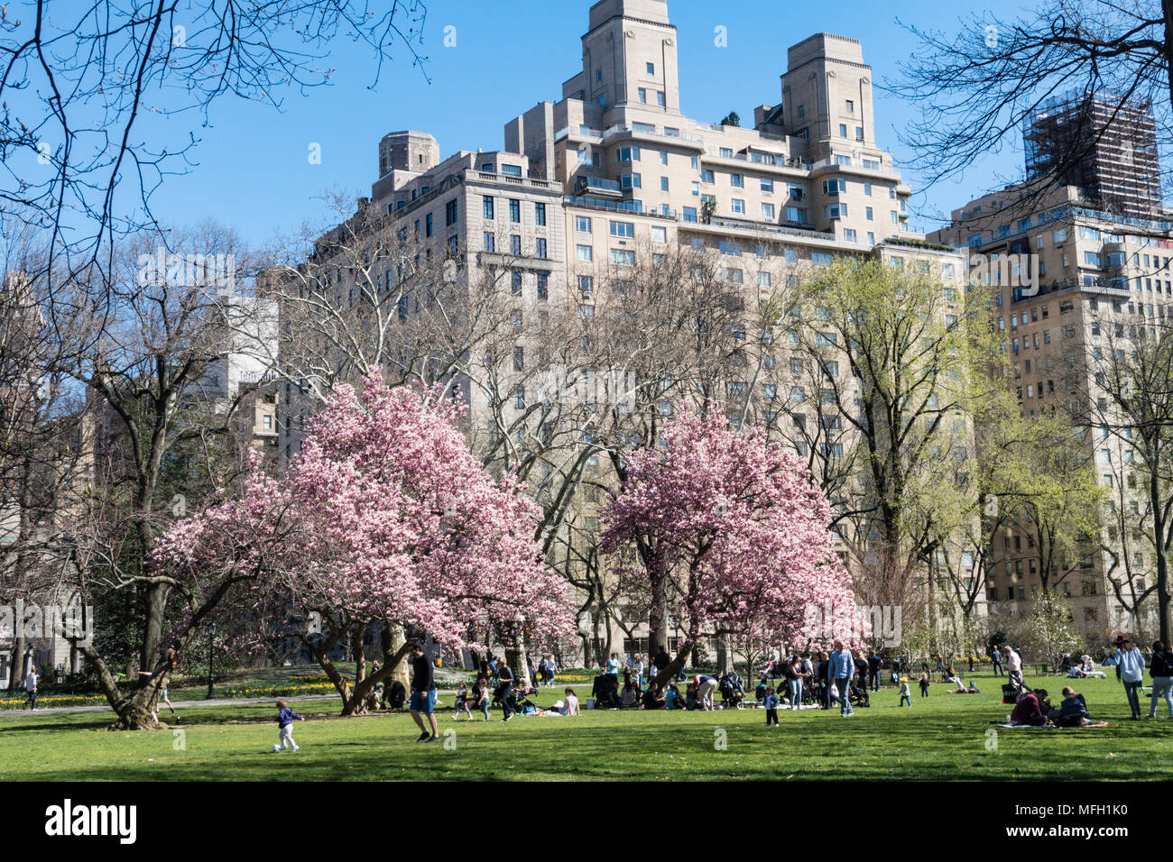 Environment city hi-res stock photography and images - Alamy