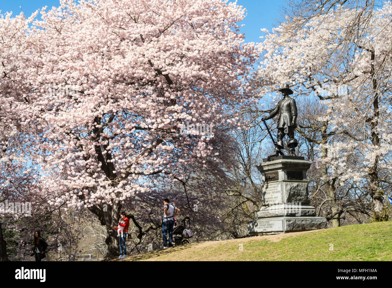 The Pilgrim Statue, Pilgrim Hill, Central Park, NYC Stock Photo - Alamy