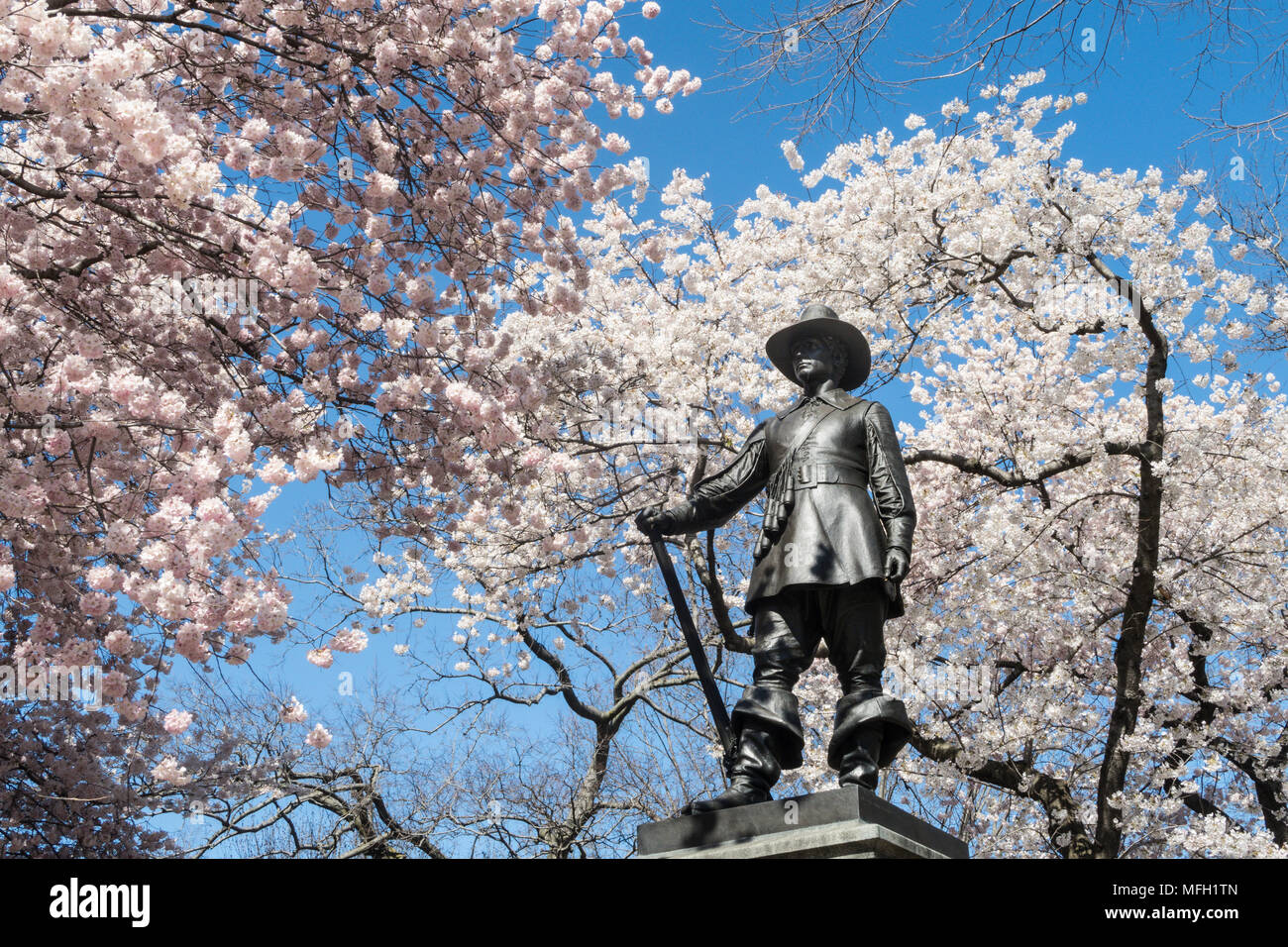 The Pilgrim Statue, Pilgrim Hill, Central Park, NYC Stock Photo - Alamy