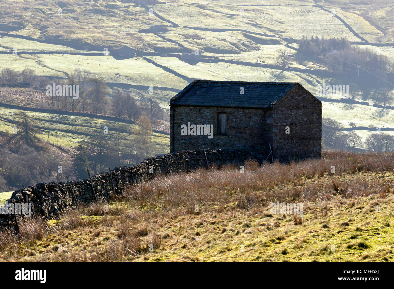Traditional style Dale's barn backlit by a rising sun at Arkengarthdale ...
