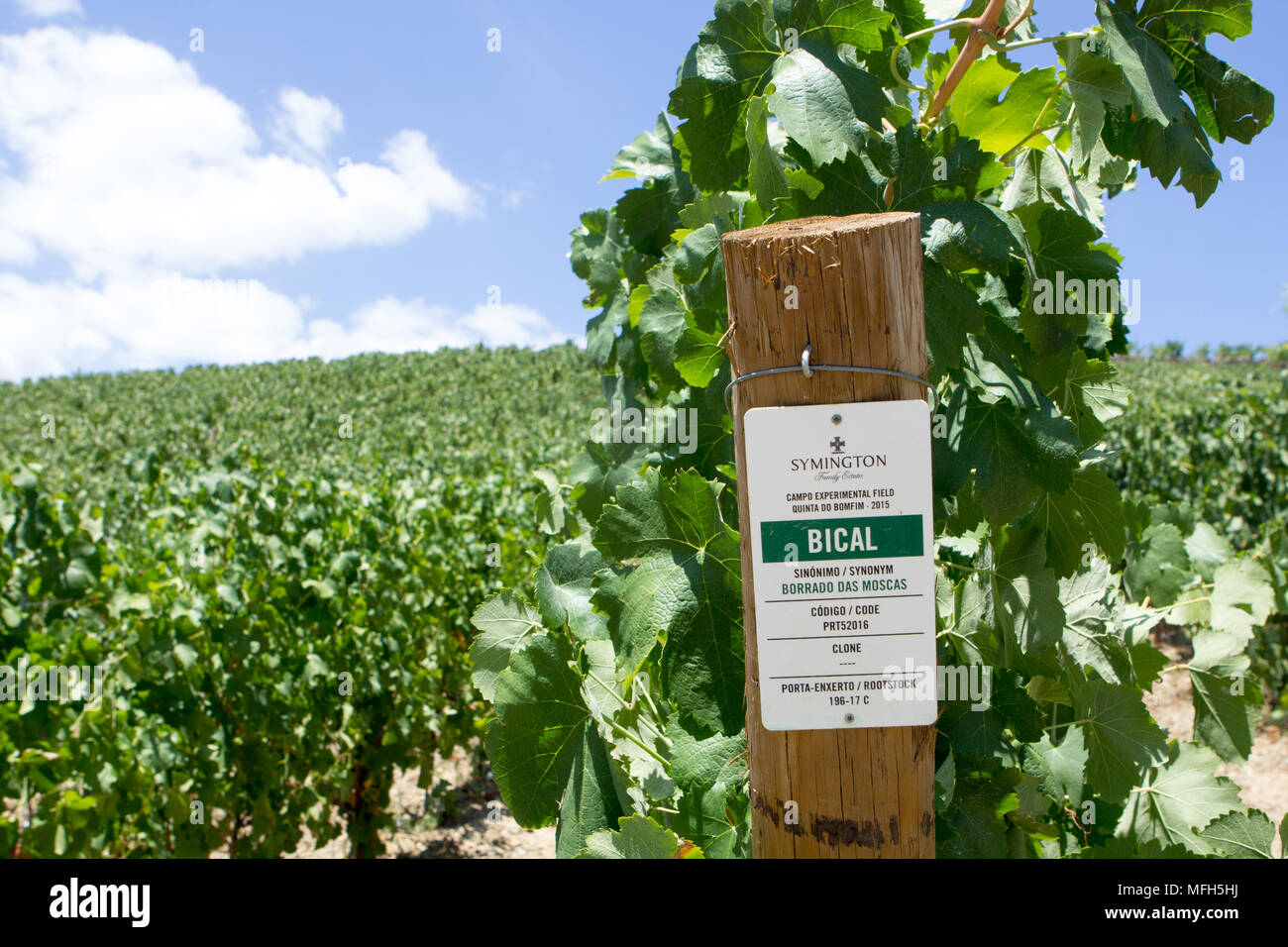 Symington Port Stock Photos & Symington Port Stock Images - Alamy