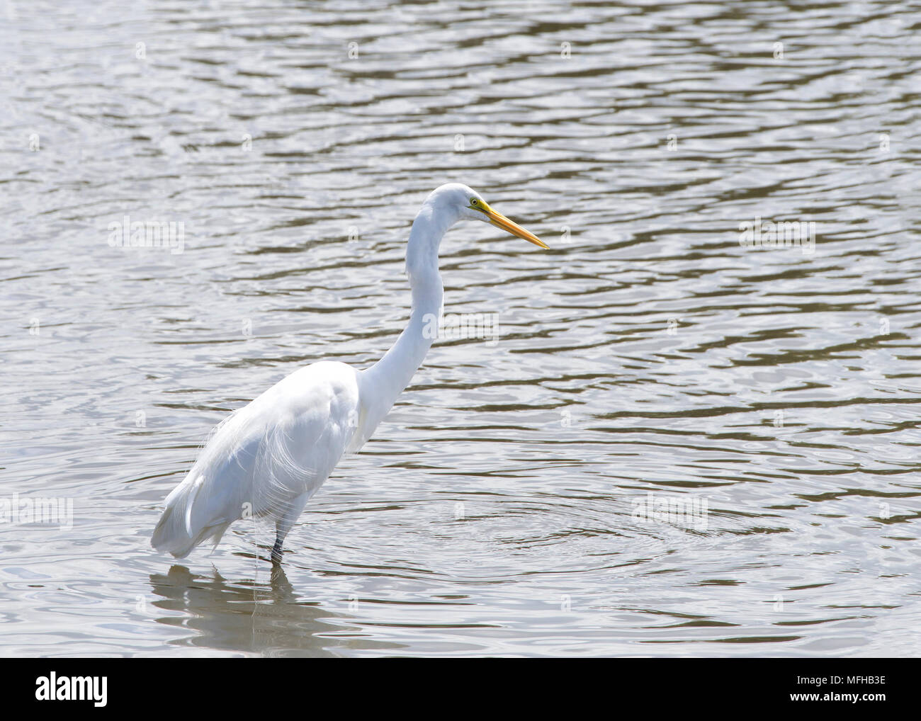 Human habitation hi-res stock photography and images - Alamy