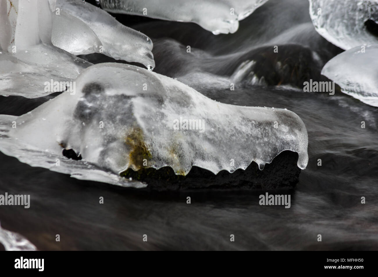 Dinosaur made of ice Stock Photo - Alamy