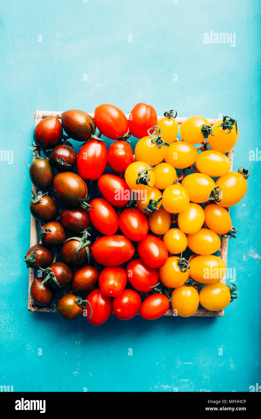 Freshly washed mixed cherry tomatoes displayed for different color ...