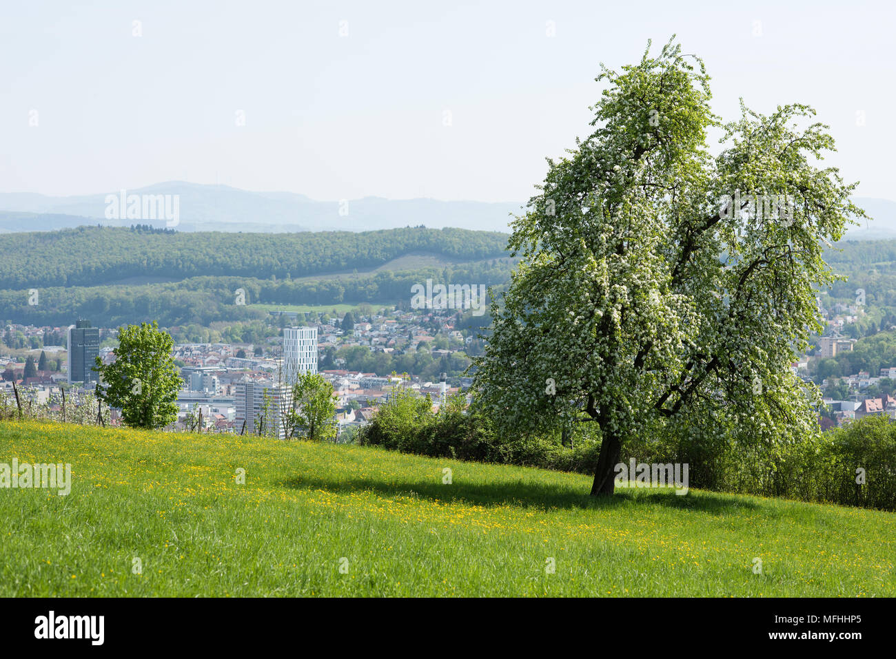 Black forest south germany landscape hi-res stock photography and ...