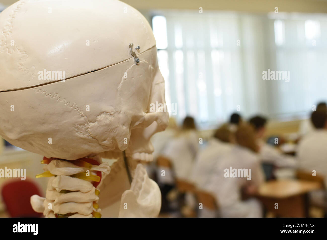 Doctor with skull hi-res stock photography and images - Alamy
