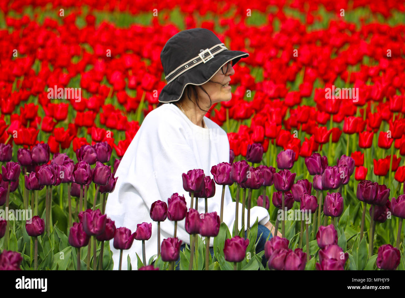 Skaigt valley hi-res stock photography and images - Alamy