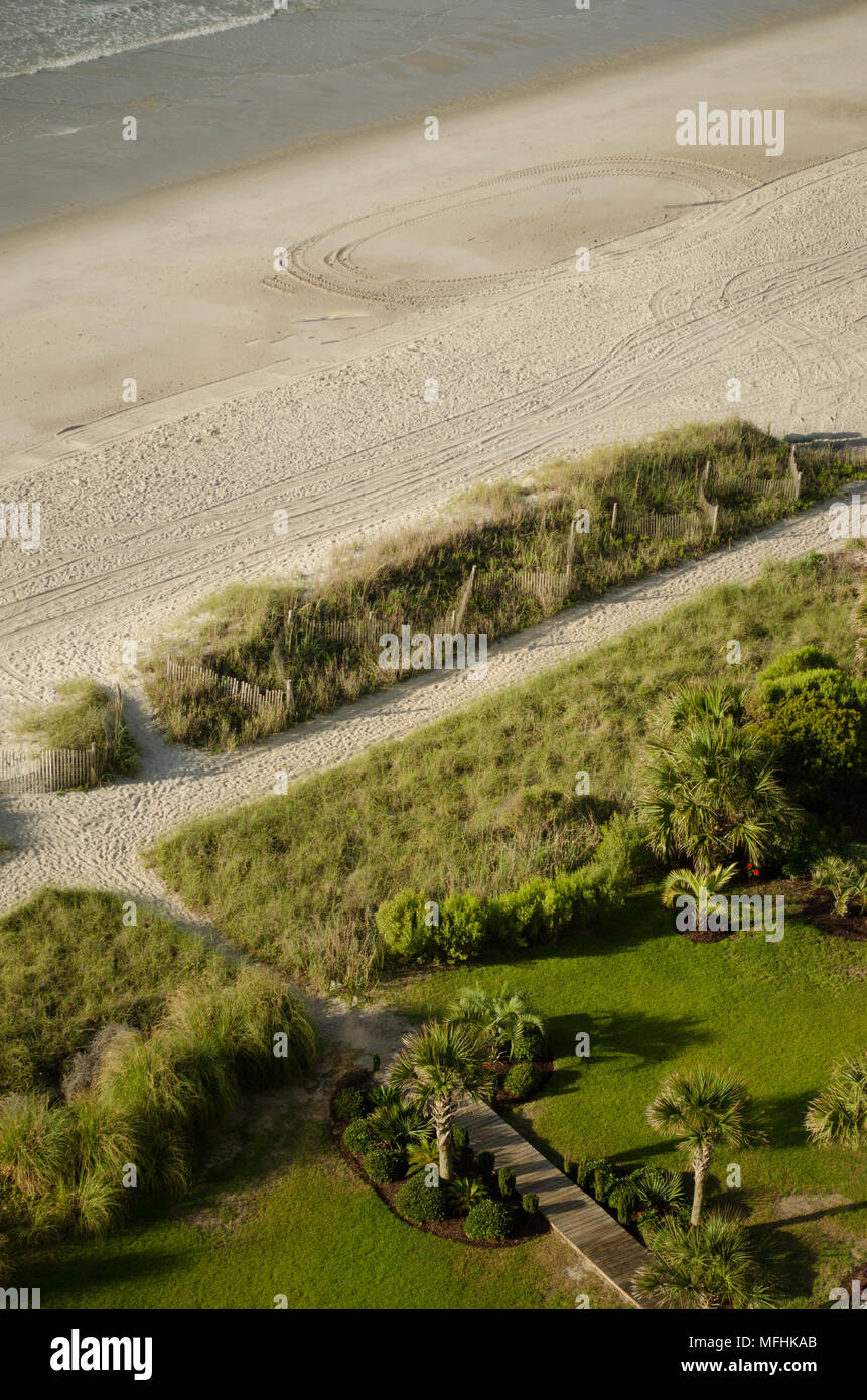 Small garden at beach Stock Photo - Alamy