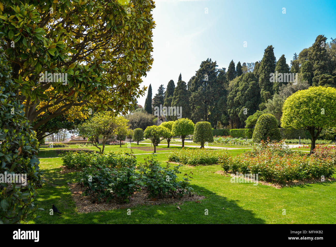 Garden Franciscan monastery on the hill of Cimiez. Cimiez Monastery ...