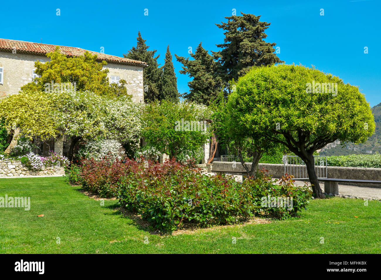 Garden Franciscan monastery on the hill of Cimiez. Cimiez Monastery ...