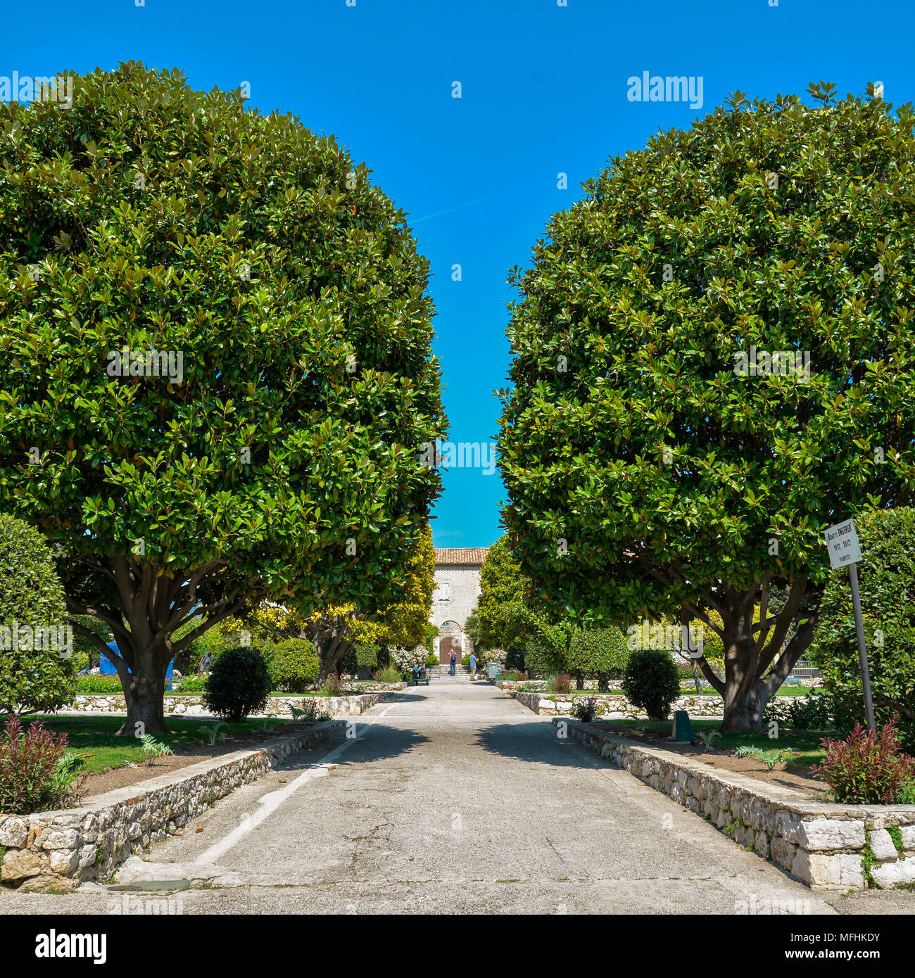 Garden Franciscan monastery on the hill of Cimiez. Cimiez Monastery ...