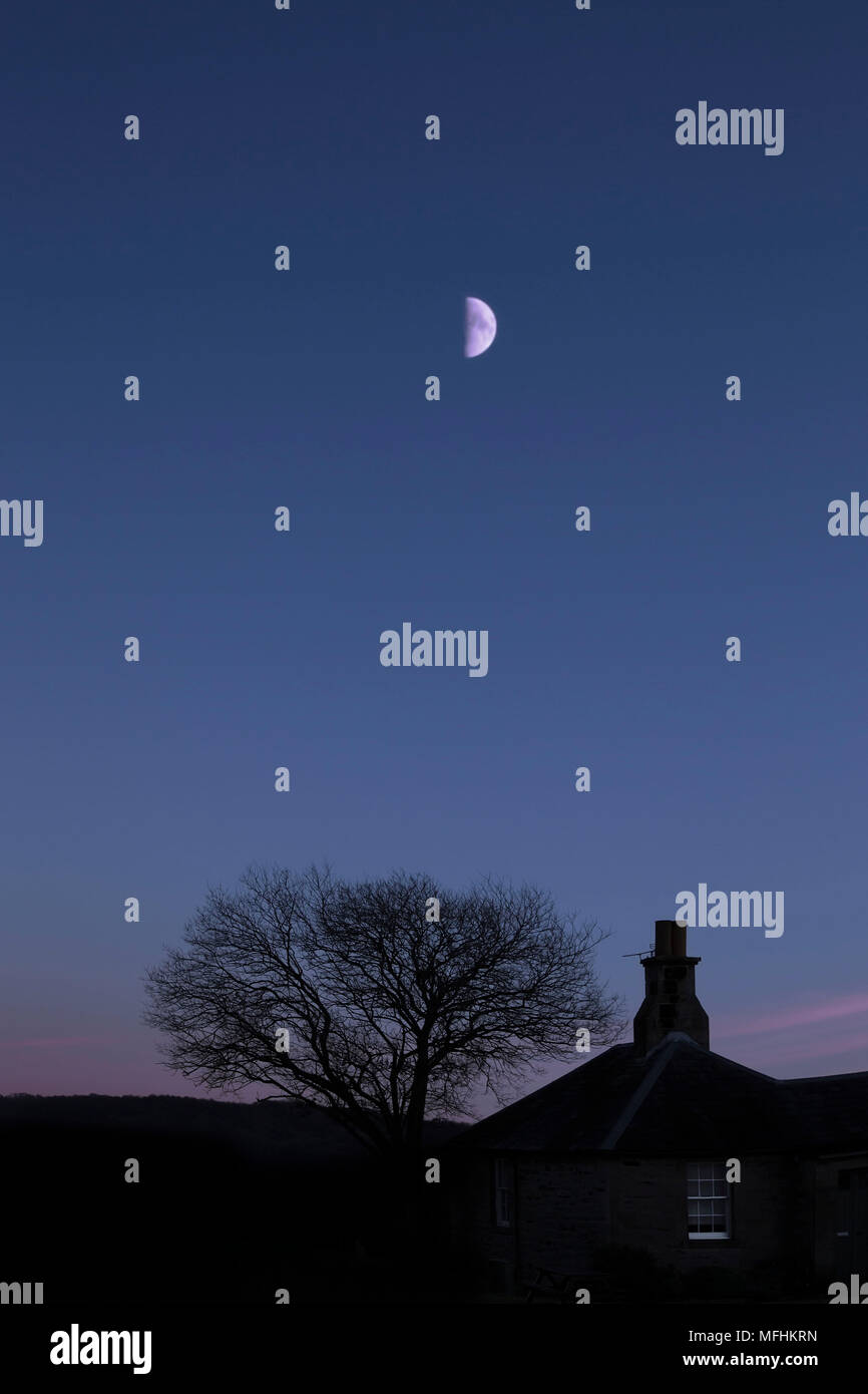 Moon and tree at sunset hi-res stock photography and images - Alamy