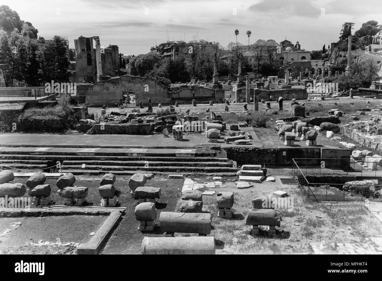 Ruins of the Roman Forum in black and white, ancient square in Rome ...