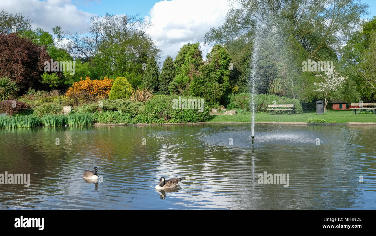 Pinner london hi-res stock photography and images - Alamy