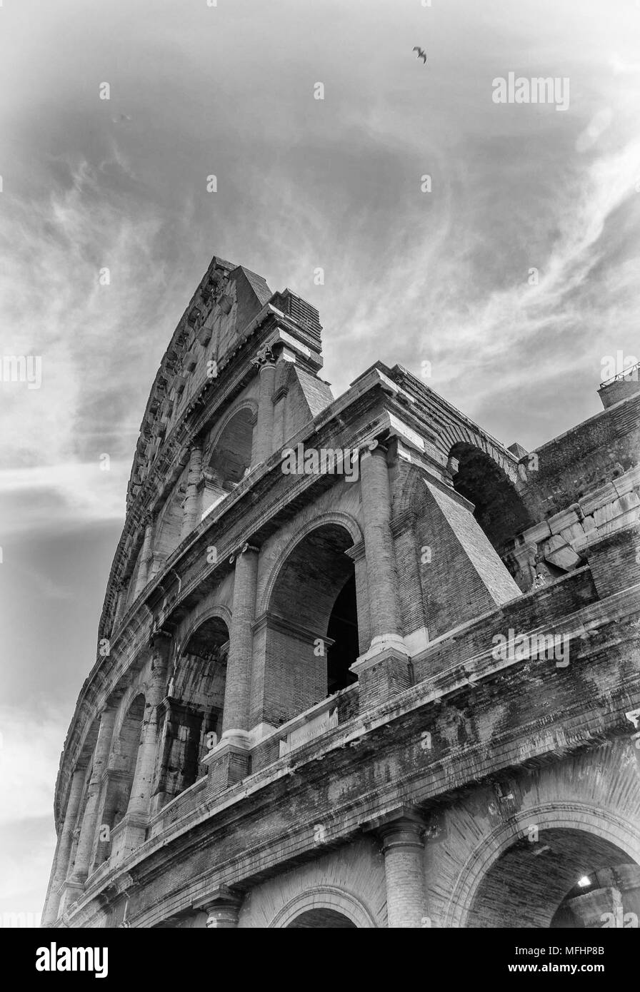 Colosseum in black and white, Rome, Italy Stock Photo - Alamy