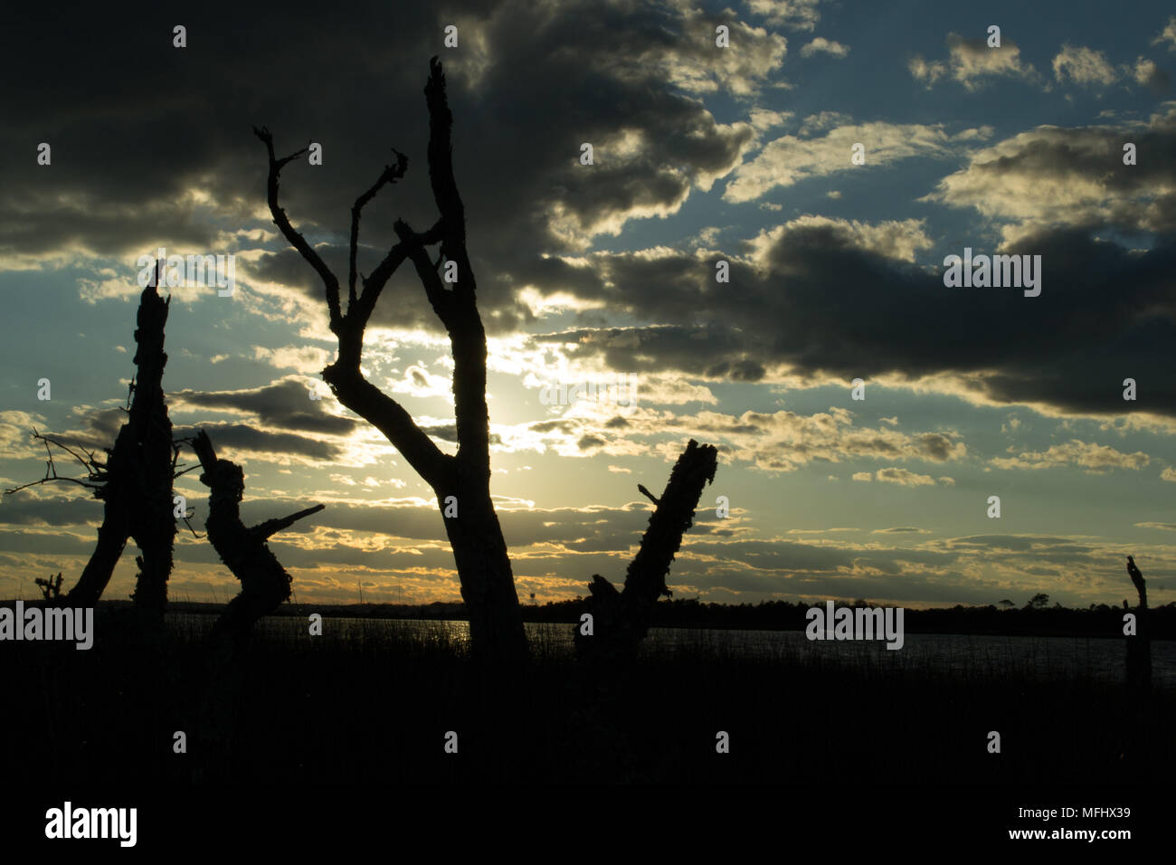 Sunset and the golden hour near the boardwalk and river edge of Cape ...