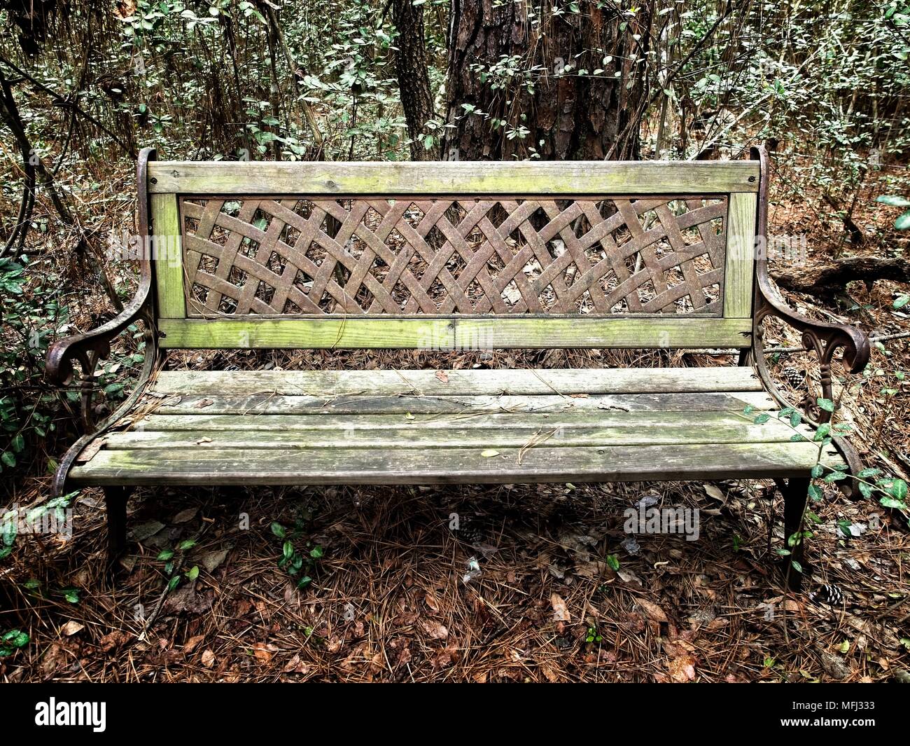 Bench wood rustic hi-res stock photography and images - Alamy