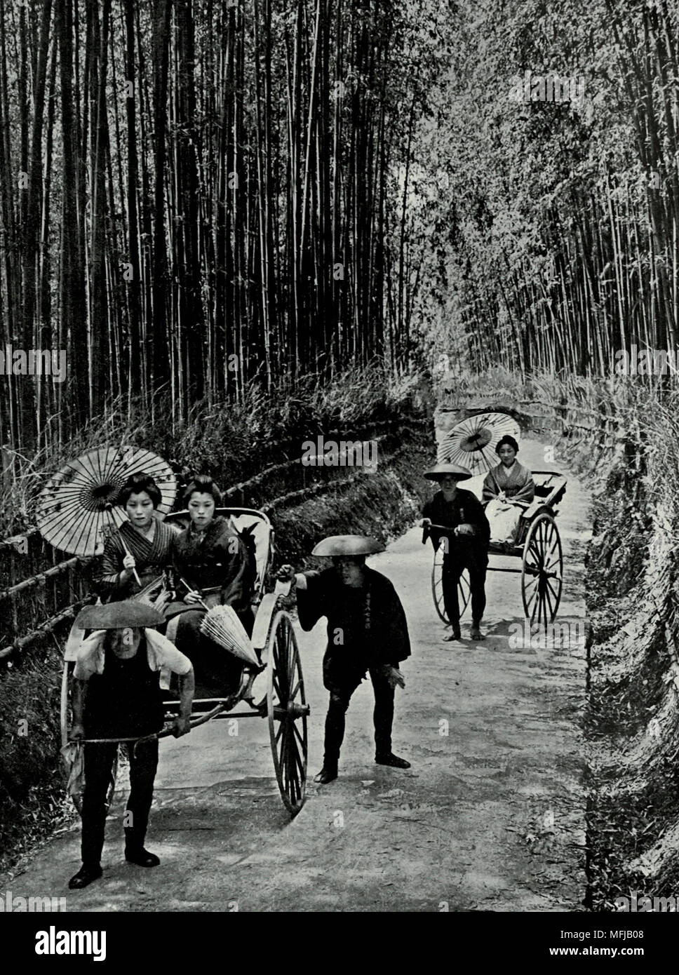 A bamboo avenue at Kyoto, Japan, circa 1910 Stock Photo - Alamy