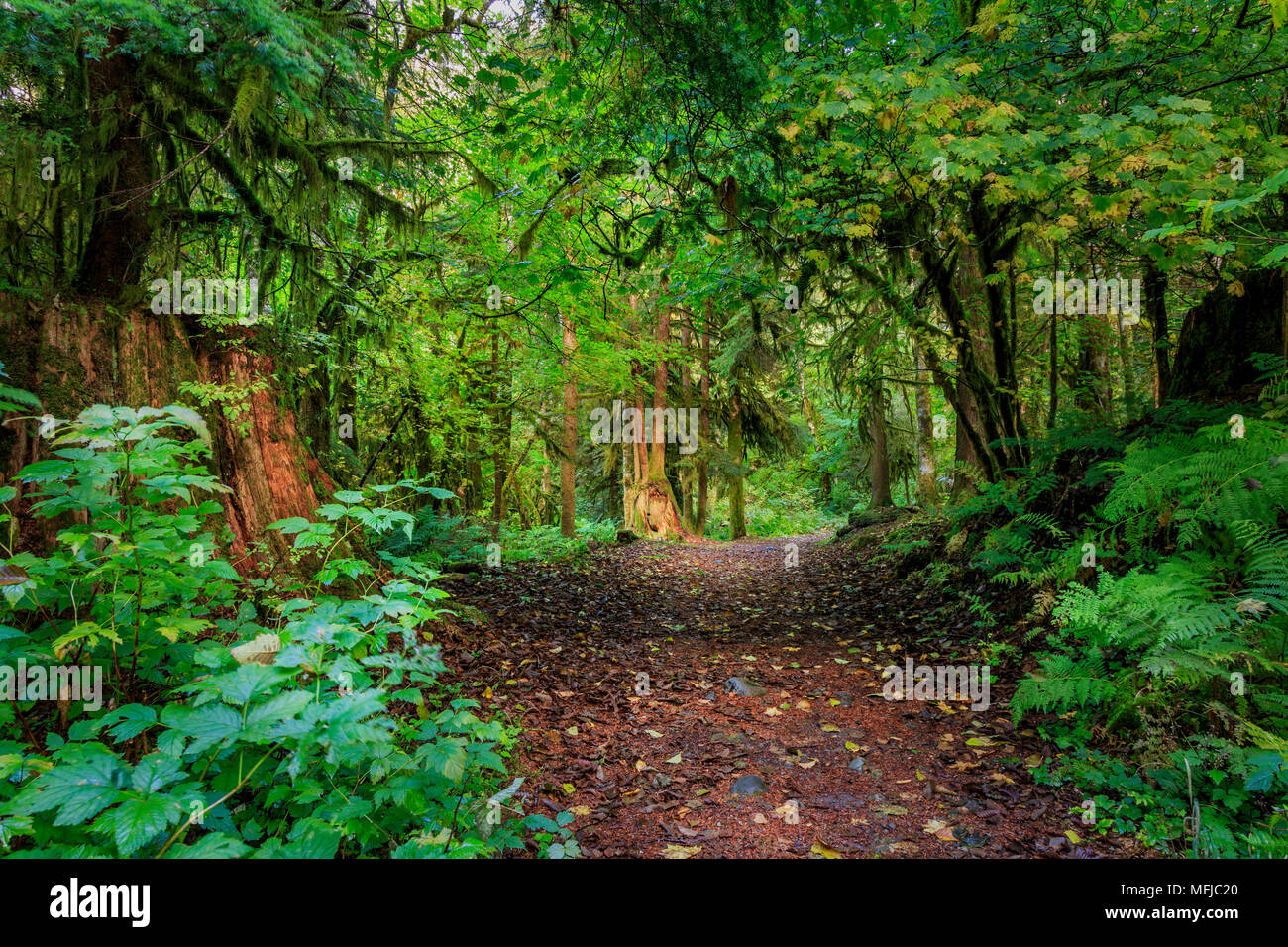 Alice lake hi-res stock photography and images - Alamy